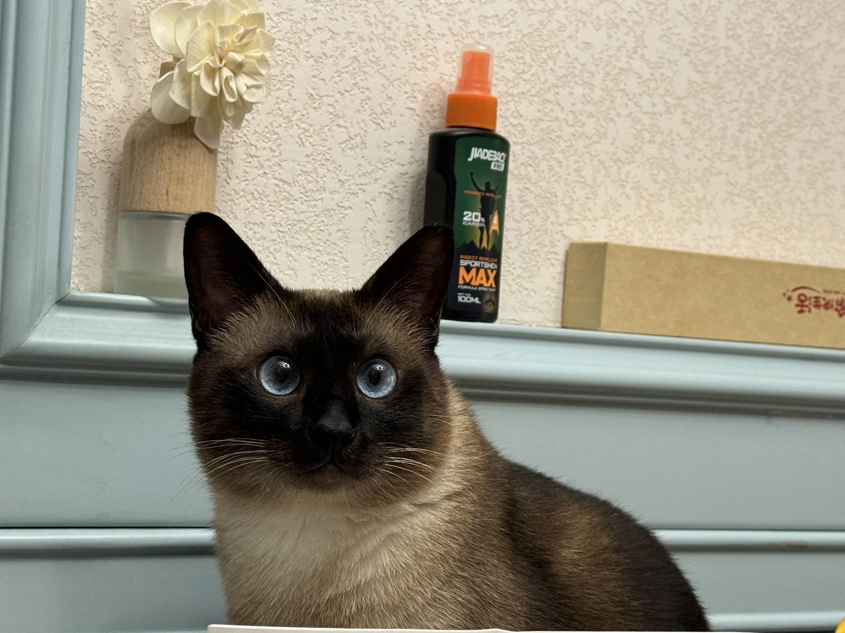 Yunyi Liu - Homepage